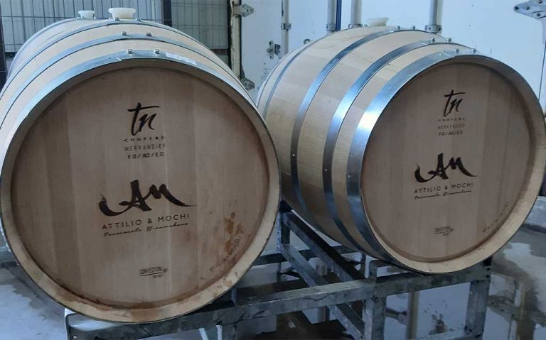 Wine Tour | The Perfect Pairing: Attilio & Mochi + Matetic Vineyards ...
