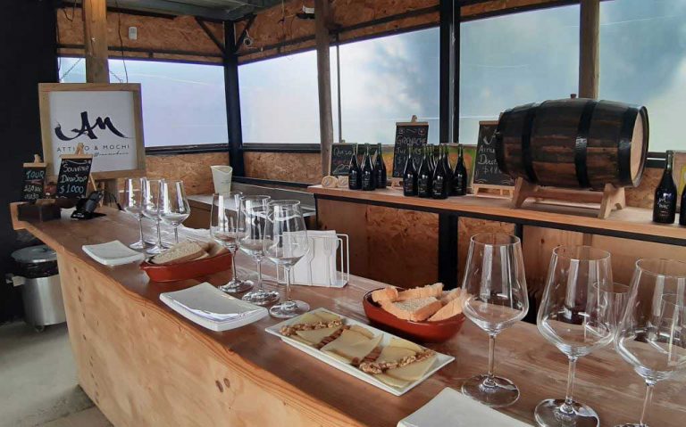 Wine Tour | The Perfect Pairing: Attilio & Mochi + Matetic Vineyards ...